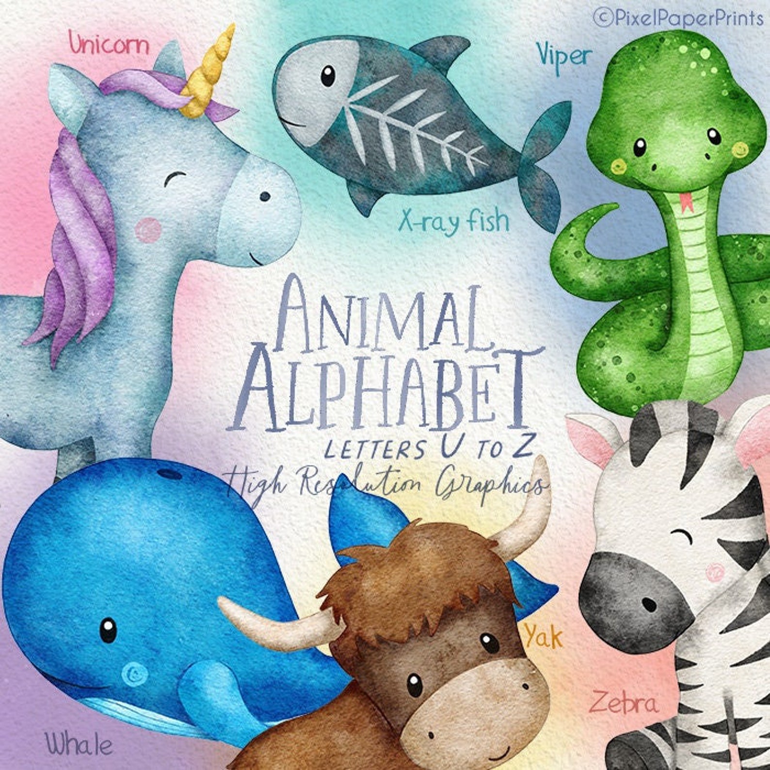 Watercolor Animal Alphabet LETTERS U TO Z Clipart and - Etsy
