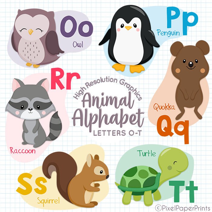 Animal Alphabet LETTERS O TO T Clipart and Digital Paper - Etsy