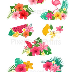 Tropical PNG - Summer Clip Art - Flamingo, Toucan, Tropical Leaves ...