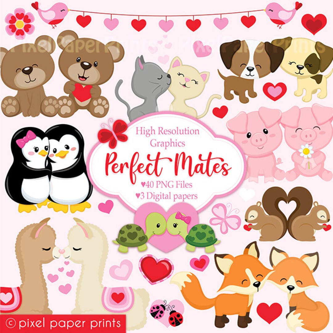 Valentines Day Clipart - Cute Animal Couples - Digital Graphics for ...