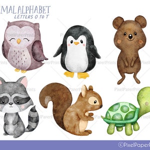 Watercolor Animal Alphabet - LETTERS O TO T - Clipart and Digital Paper ...