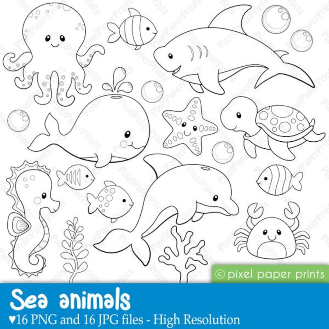 Sea Animals Digital Stamps Clipart - Etsy