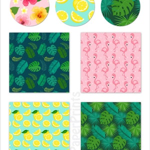 Tropical PNG - Summer Clip Art - Flamingo, Toucan, Tropical Leaves ...