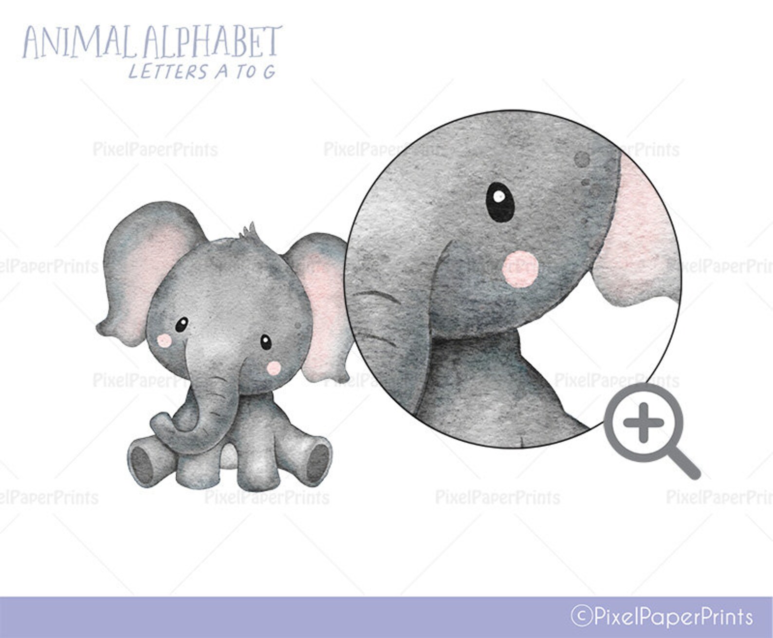 Watercolor Animal Alphabet - LETTERS A TO G - Clipart and Digital Paper ...