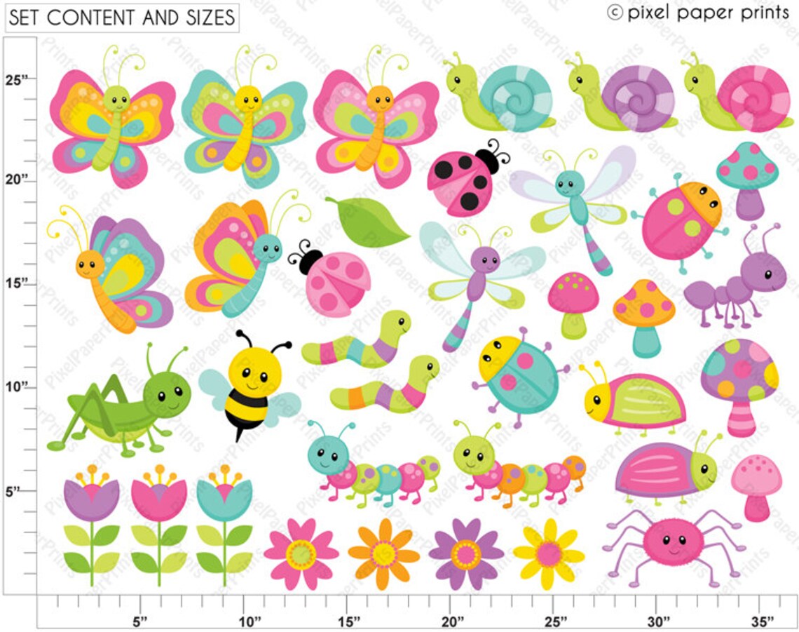Cute bugs Clipart and Digital Paper Set Digital Download - Etsy España