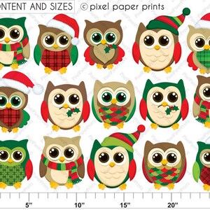 Christmas Owls Clip Art - Digital Paper and Clip Art Set - Digital ...