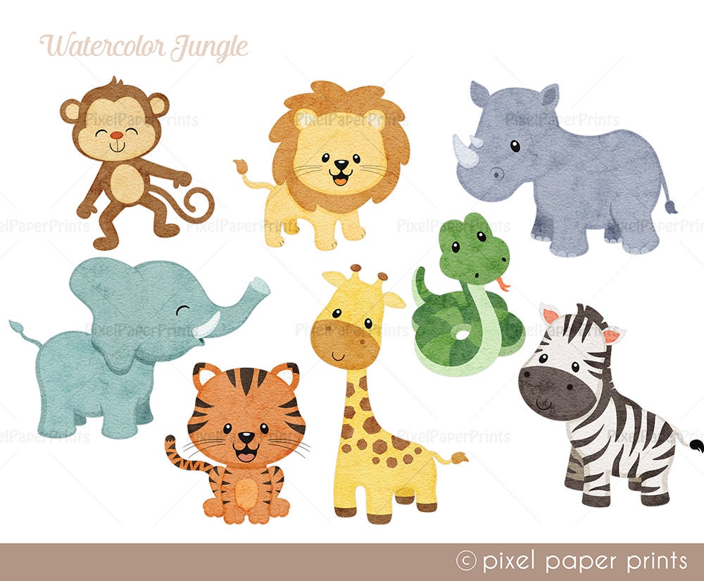 Watercolor Jungle Animals Clip Art Cute Animals Clipart - Etsy
