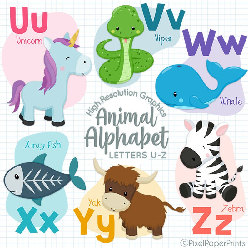 Animal Alphabet Complete Collection LETTERS A TO Z Clipart - Etsy