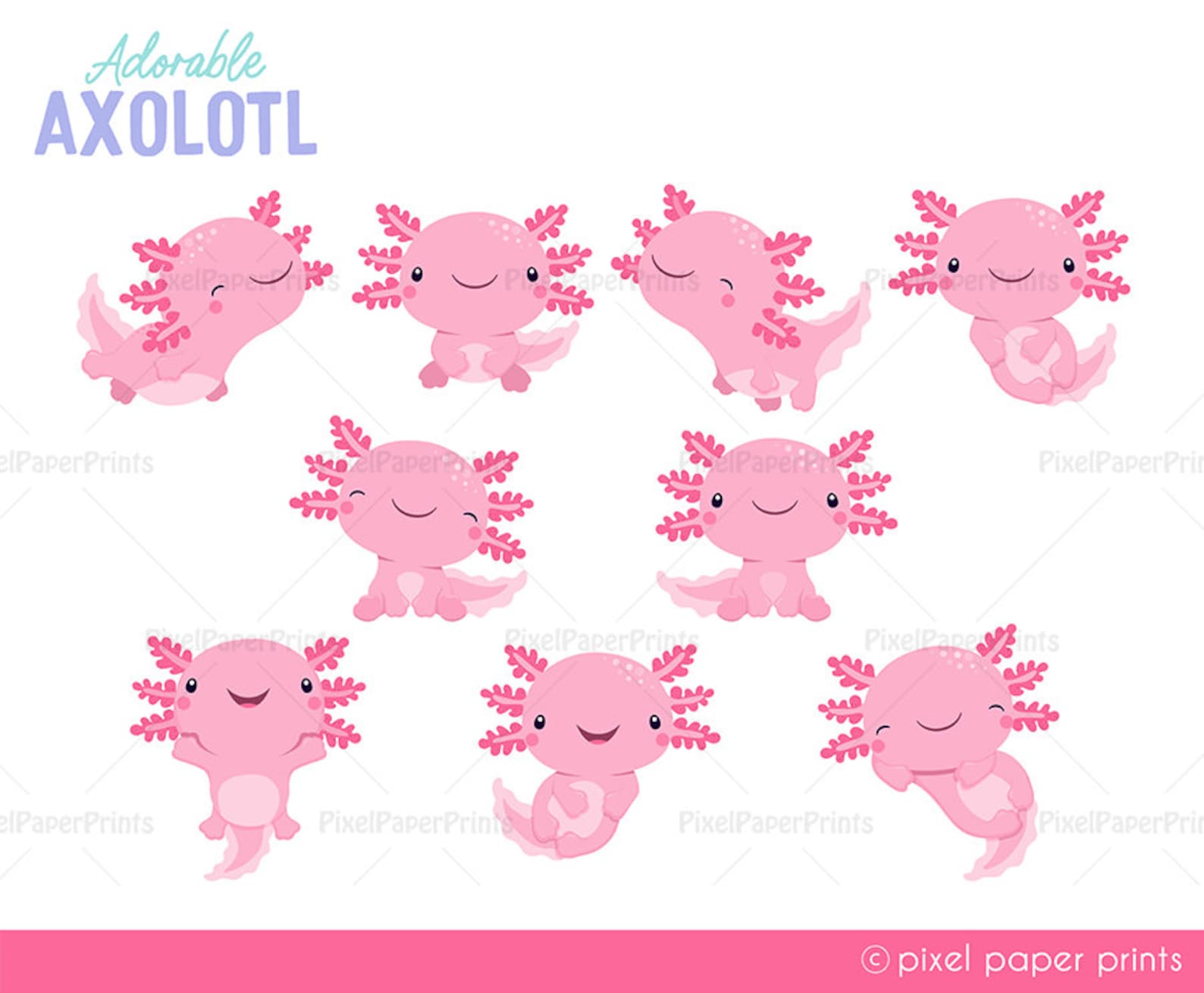 Axolotl Clip Art - Cute Axolotl - Clip Art and Digital Paper Set - Cute ...