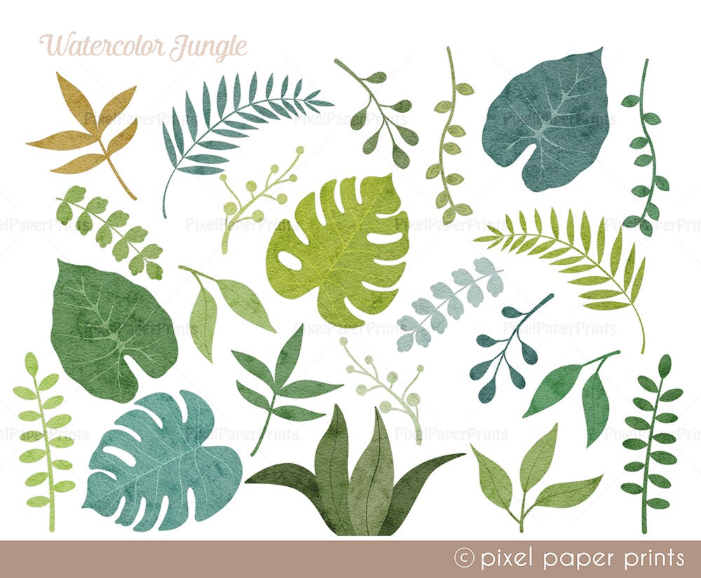 Watercolor Jungle Animals Clip Art Cute Animals Clipart - Etsy