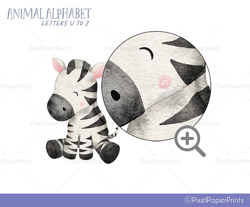 Watercolor Animal Alphabet - LETTERS U TO Z - Clipart and Digital Paper ...