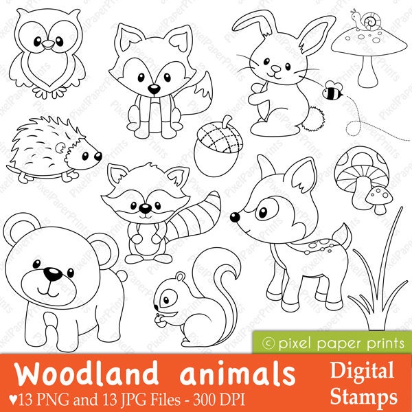 Woodland Animals Digital stamps Clipart | Etsy