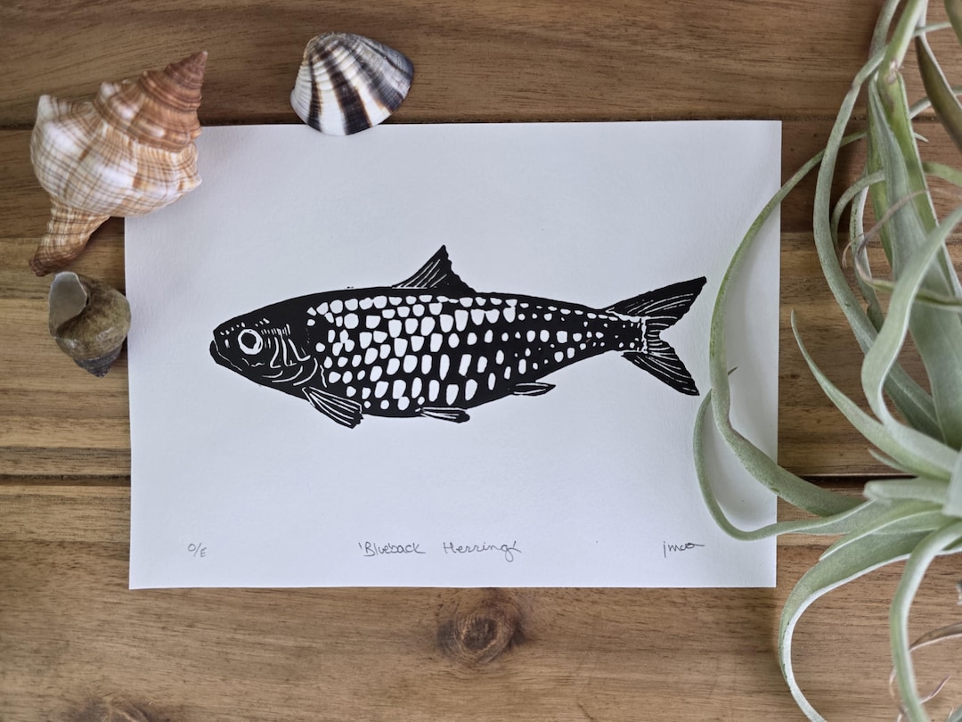 Original Blueback Herring Linocut Print: Hand-carved Fish Art, Black ...