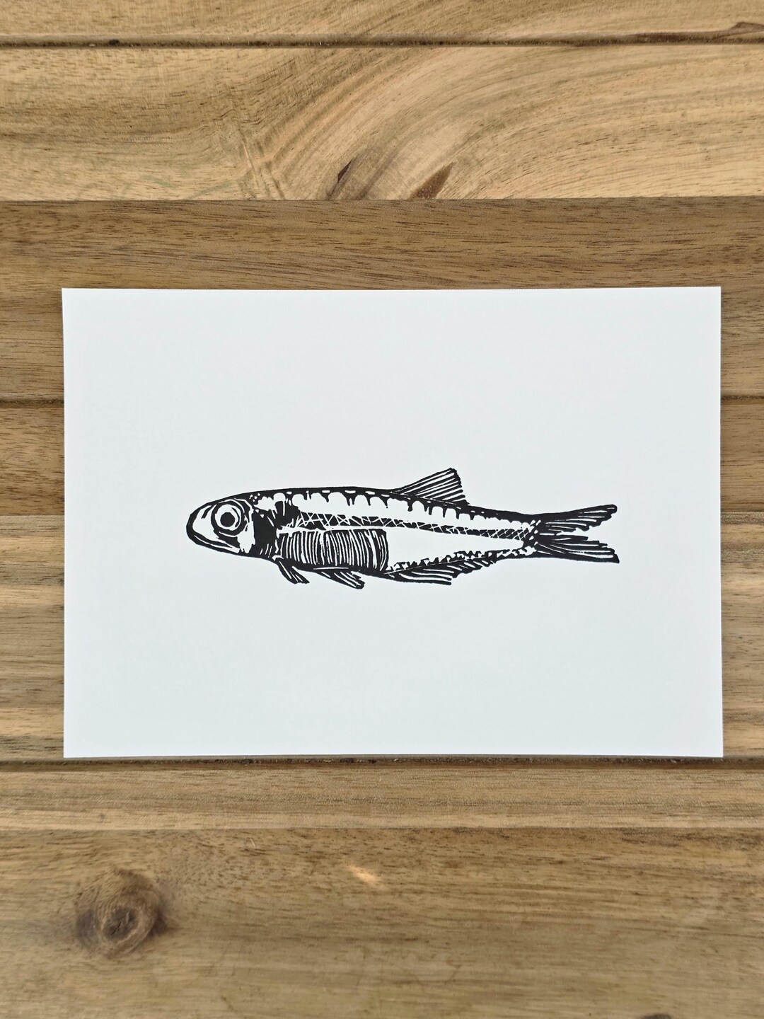 Fish Art Print | Original Anchovy Linocut | Gifts for Fisherman ...