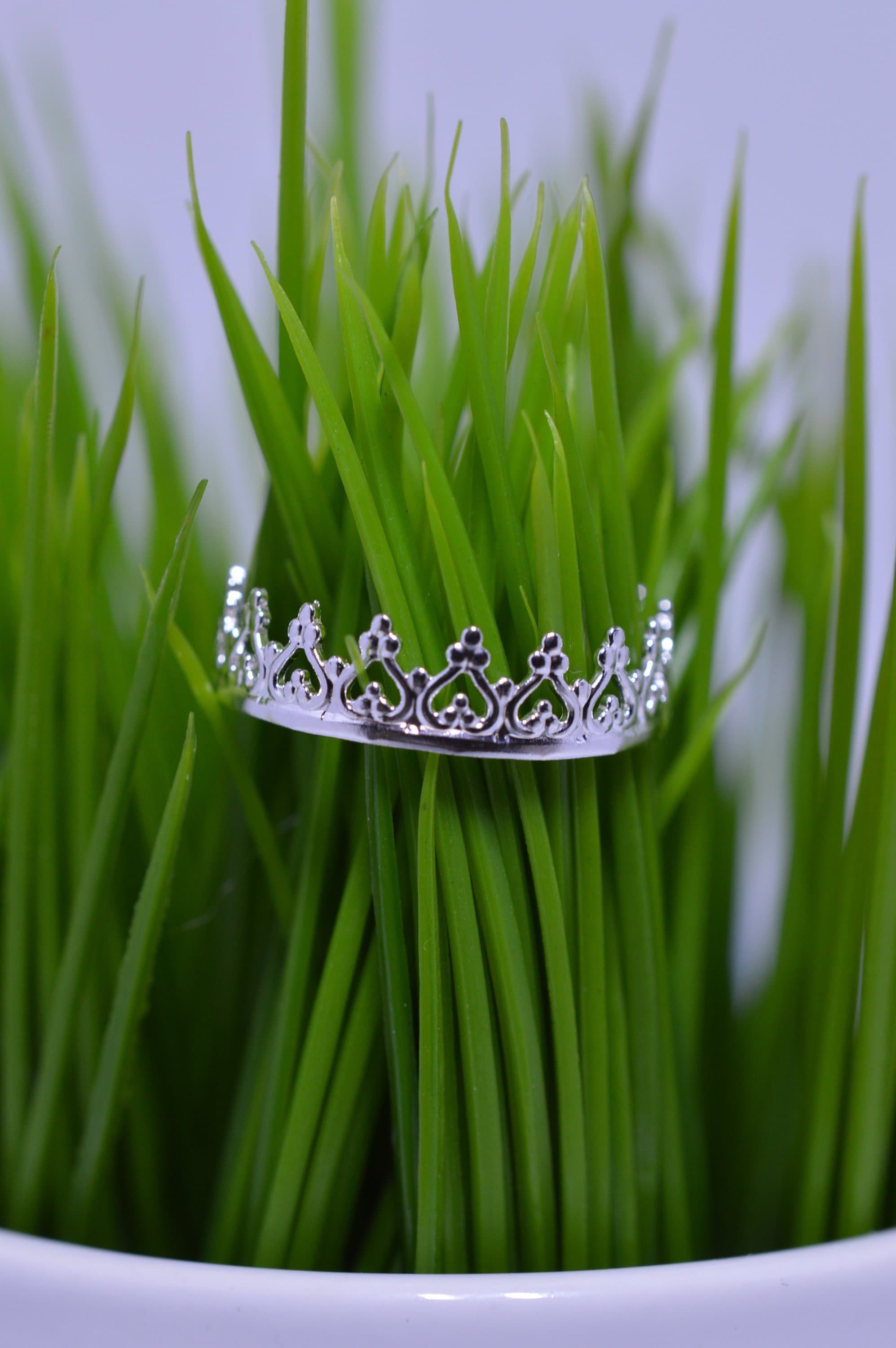 Crown Princess Ring - Etsy