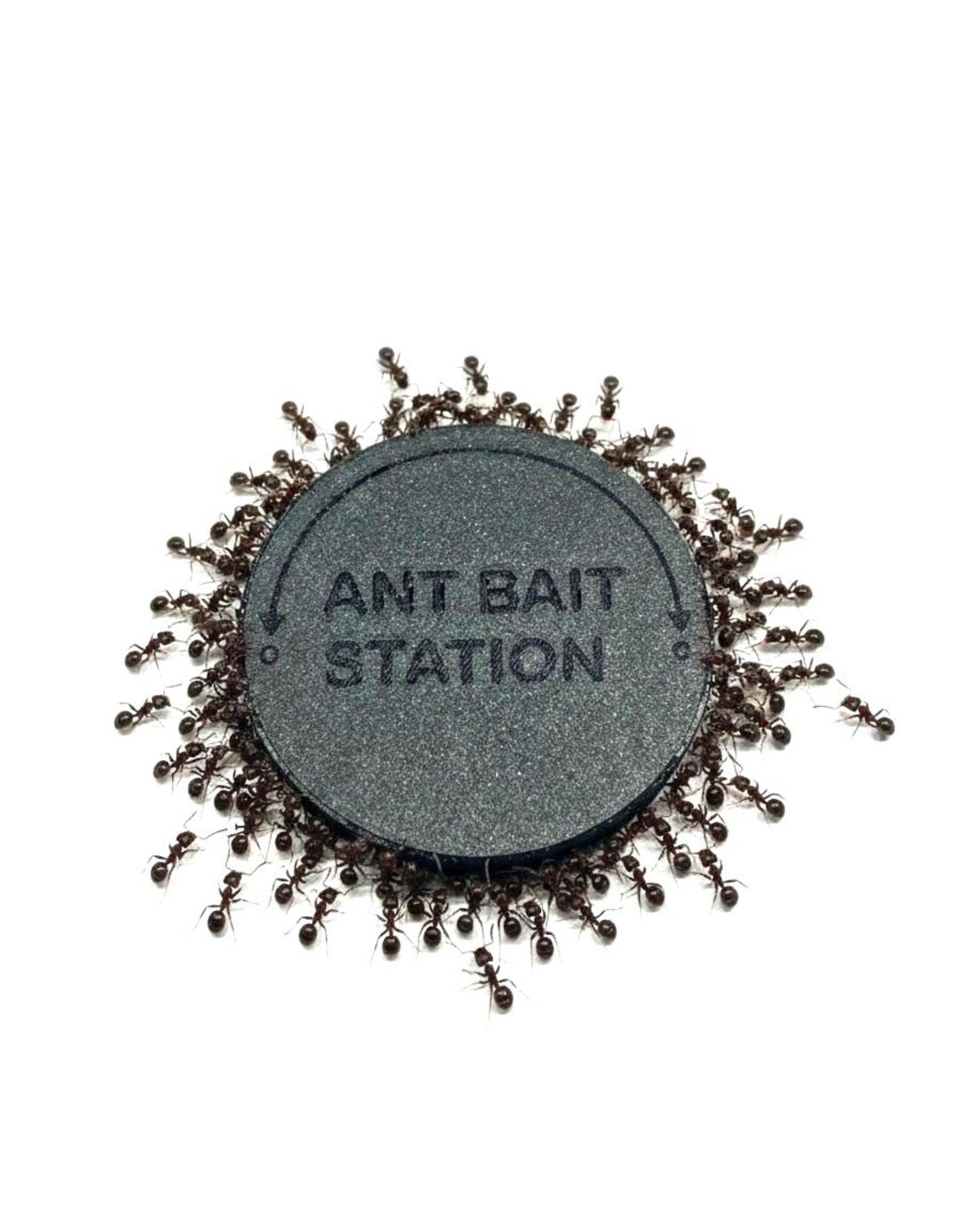 Reusable Ant Bait Station – Refillable Ant Trap, Child & Pet Safe ...