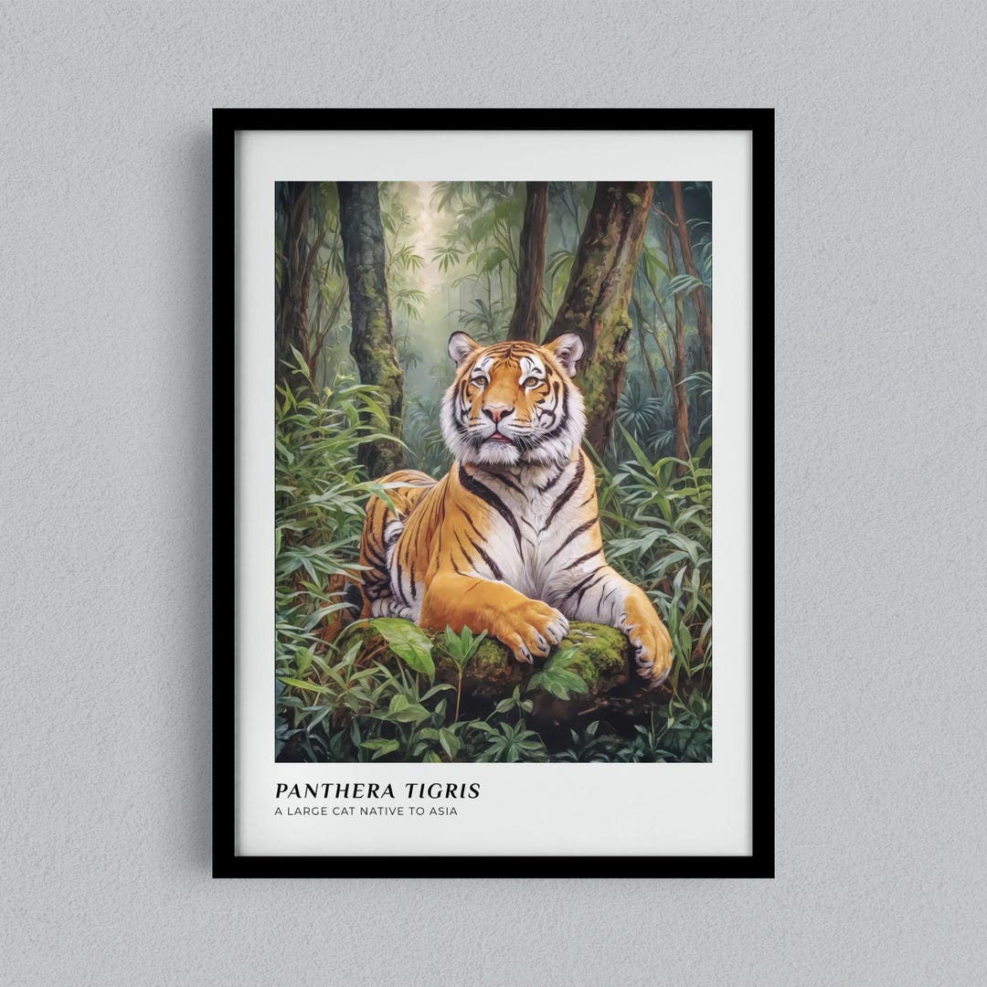 Modern Bengal Tiger Print, Wild Jungle Giclee Art, Big Cat Wildlife ...
