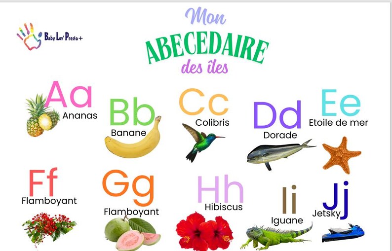 Montessori Printable Alphabet – Tropical Island Alphabet - Etsy