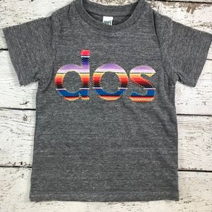 Dos Shirt, 2nd Birthday Shirt, Fiesta Party, Sombrero, First Fiesta ...