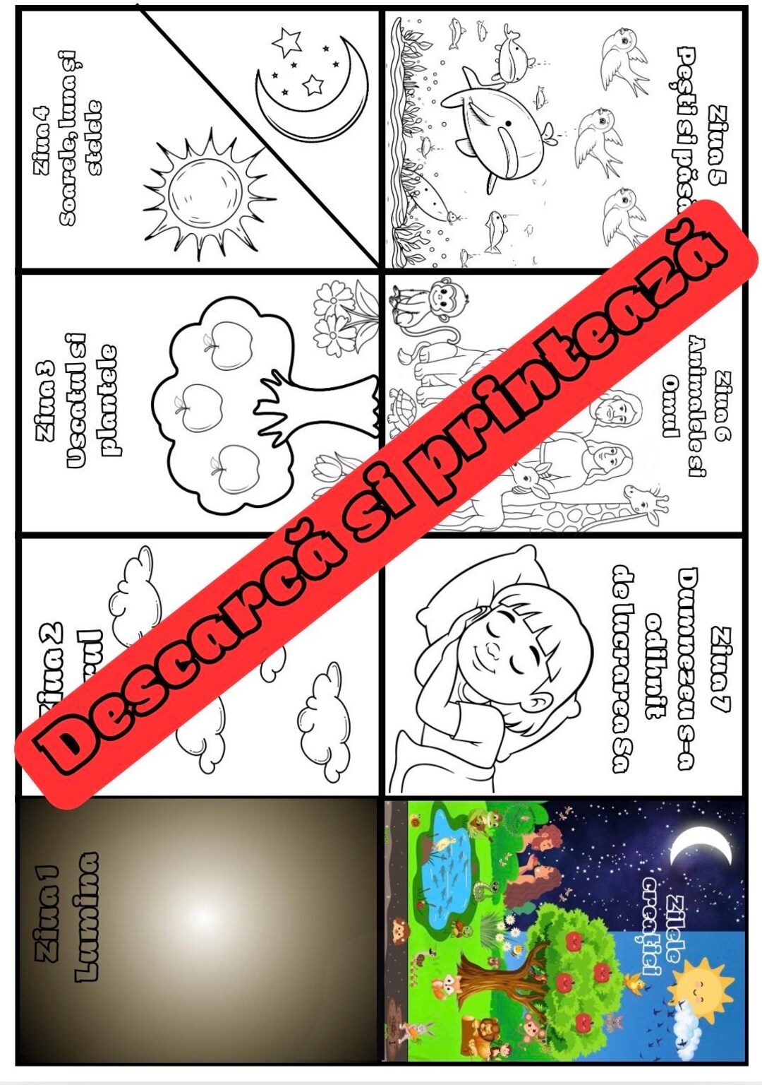 Creation Story Mini Book, Coloring Activity, Sunday School (digital ...