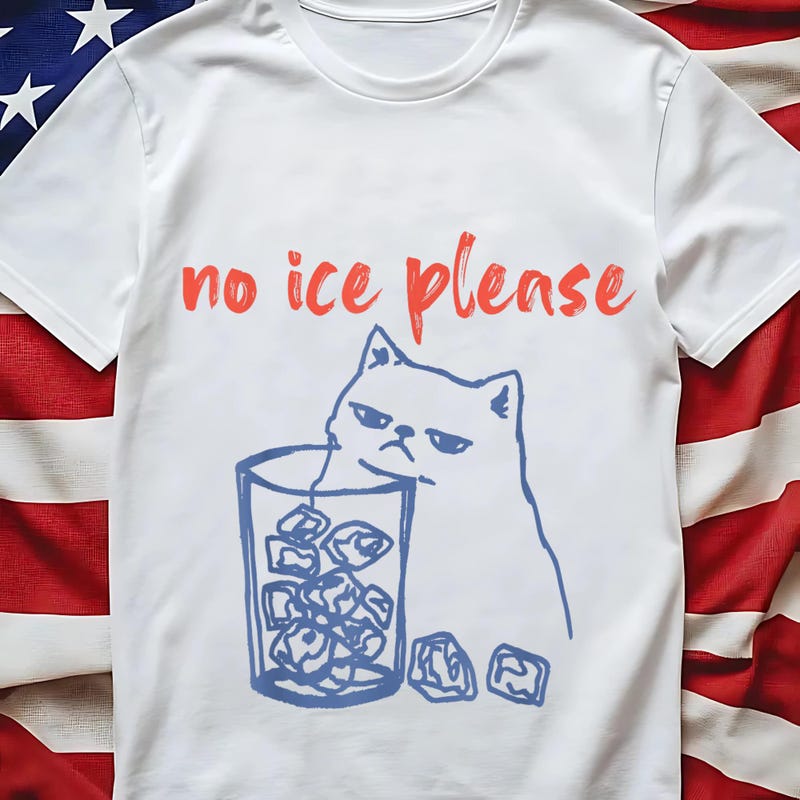 No Ice Please Sticker - Etsy