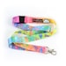 Lanyard With Dinosaurs / Preschool Dinosaur Lanyard With Charm ...