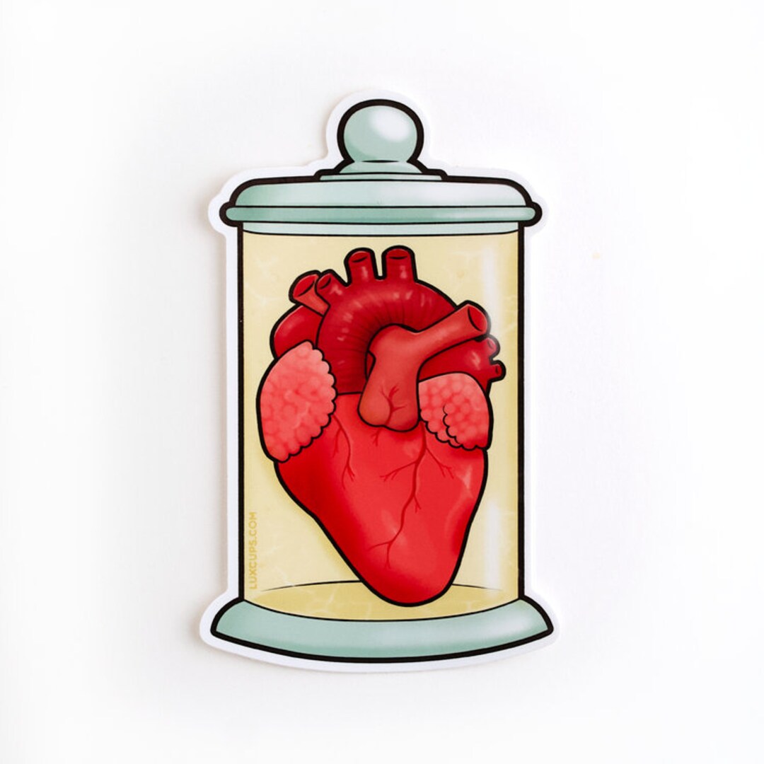 Heart Jar Sticker - Anatomical Weather-proof Vinyl Sticker Heart ...