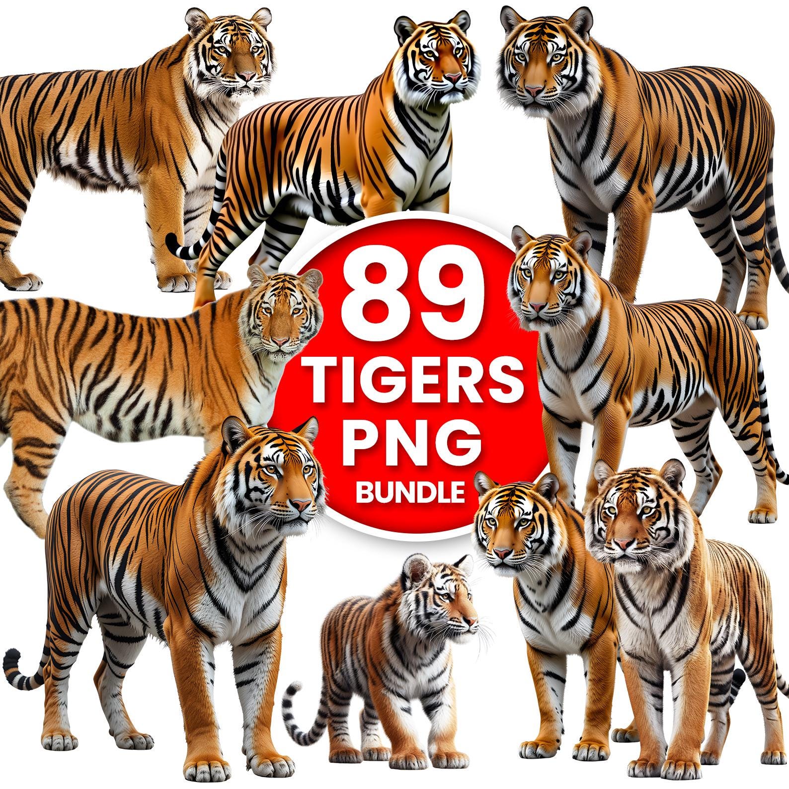 89 Tiger PNG Clipart Bundle | HD Full Body Tigers | Transparent ...