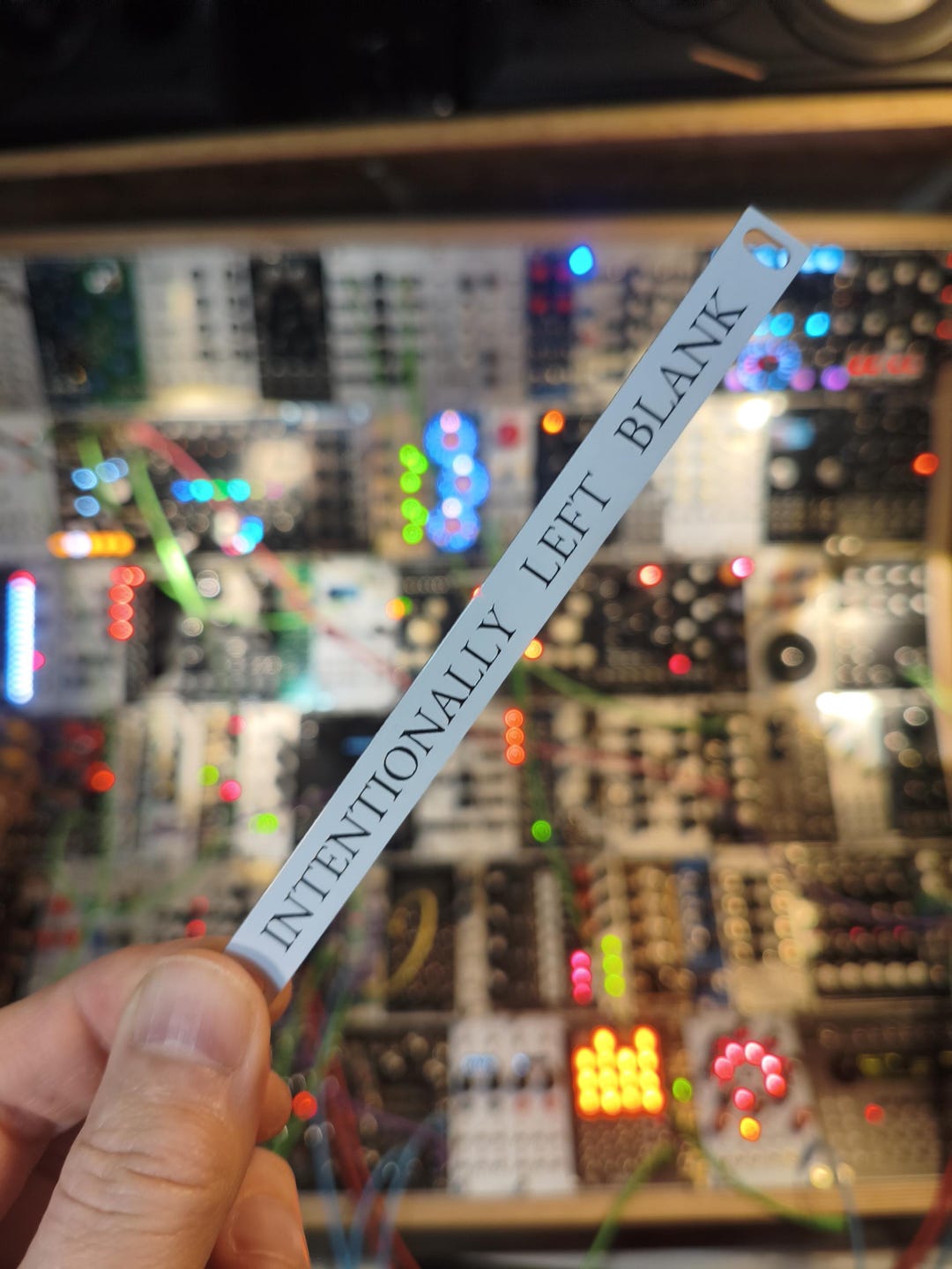 Intentionally Left Blank Eurorack Blank 2hp - Etsy