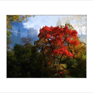 Central Park Red Tree Photo: NYC Autumn Fine Art Print or Greeting Card ...