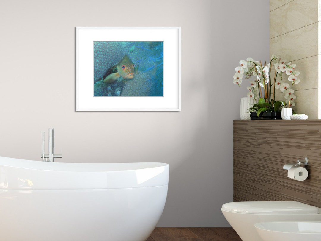Underwater Scuba Diver Art Print: Peek-a-boo Fish (9.5" X 7.5") - Etsy