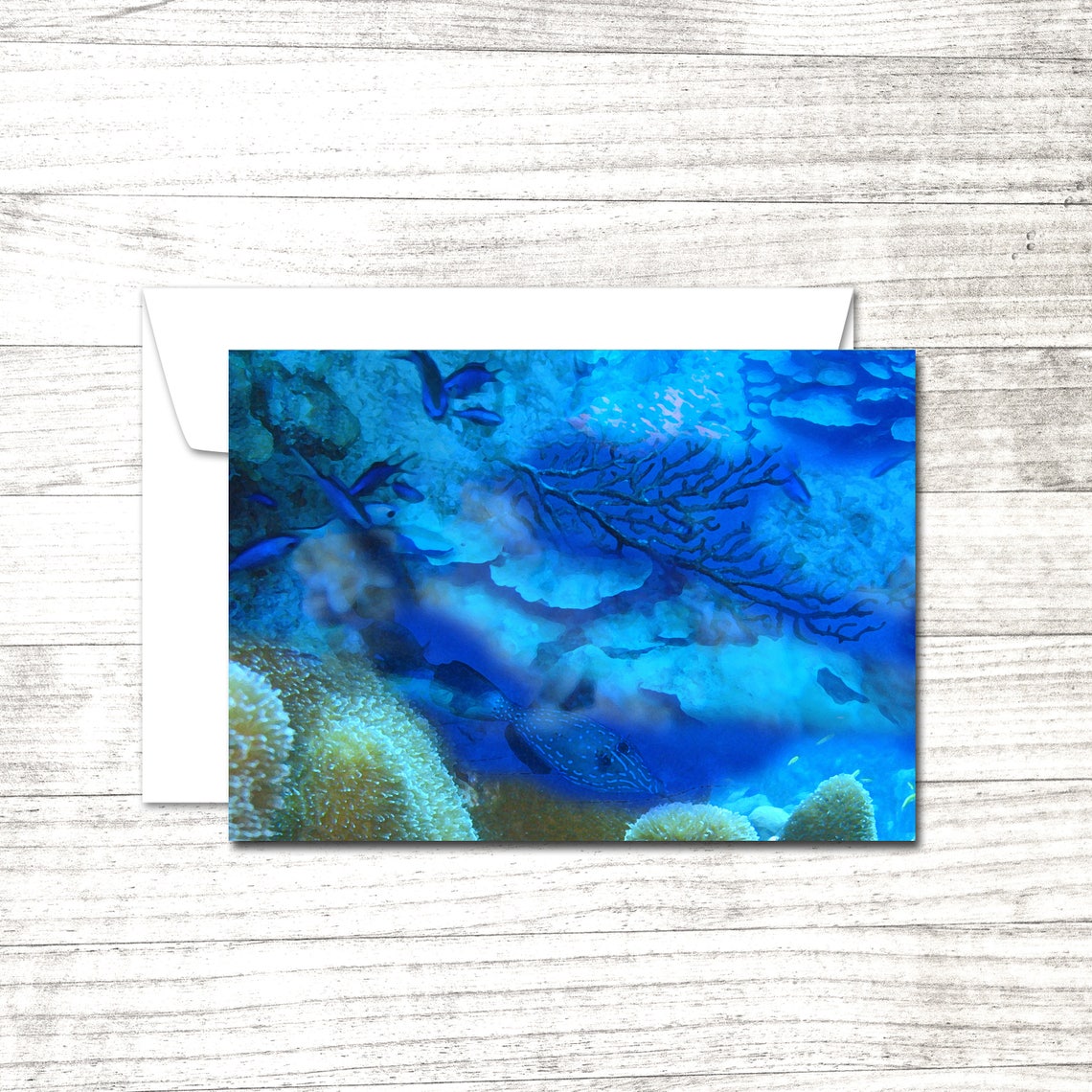 Undersea Greeting Card | Blank Note Card |card for Scuba Diver | Ocean ...