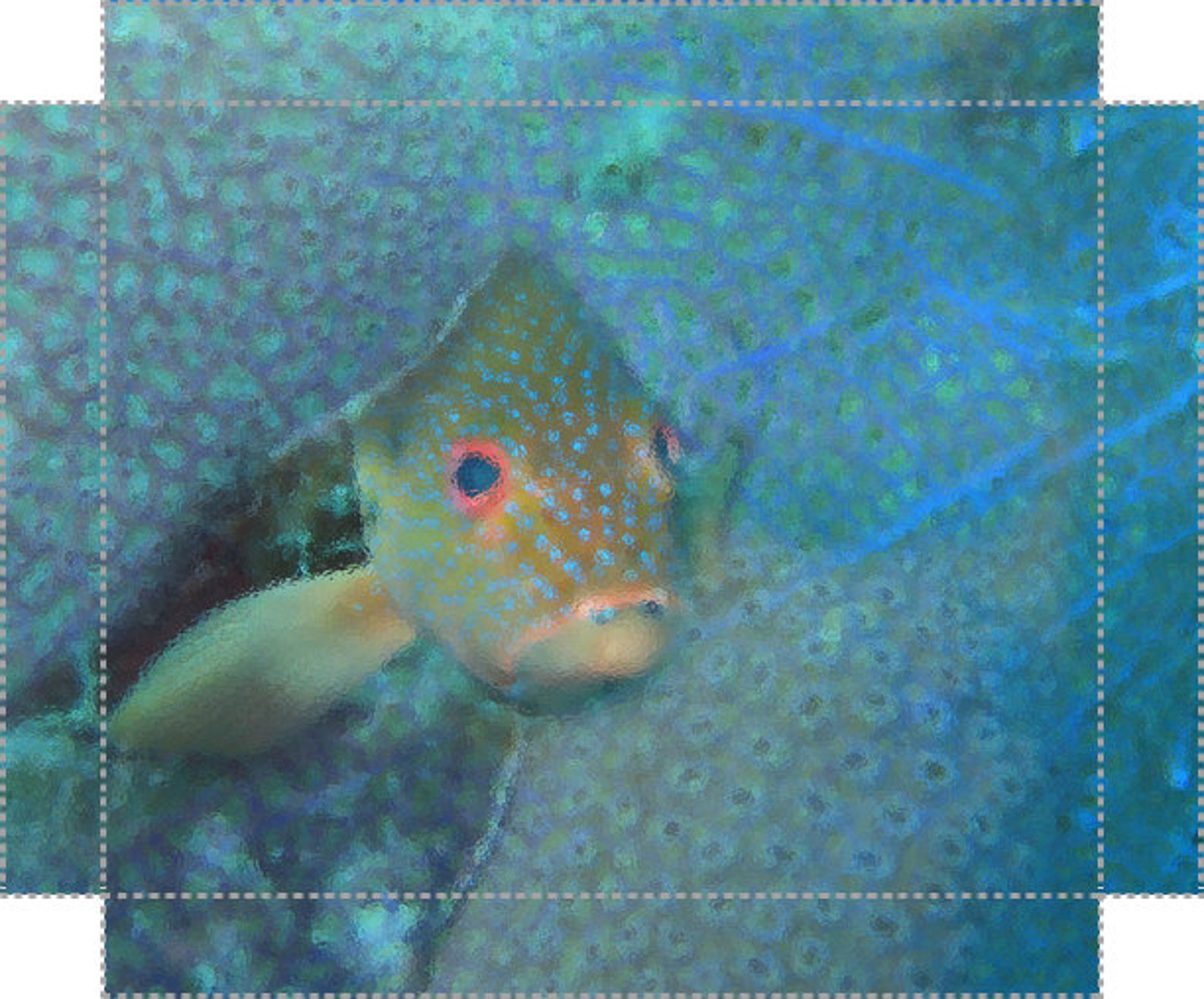 Peek-a-boo Fish Underwater Dive Art Canvas Wrap Wall Art | Underwater ...