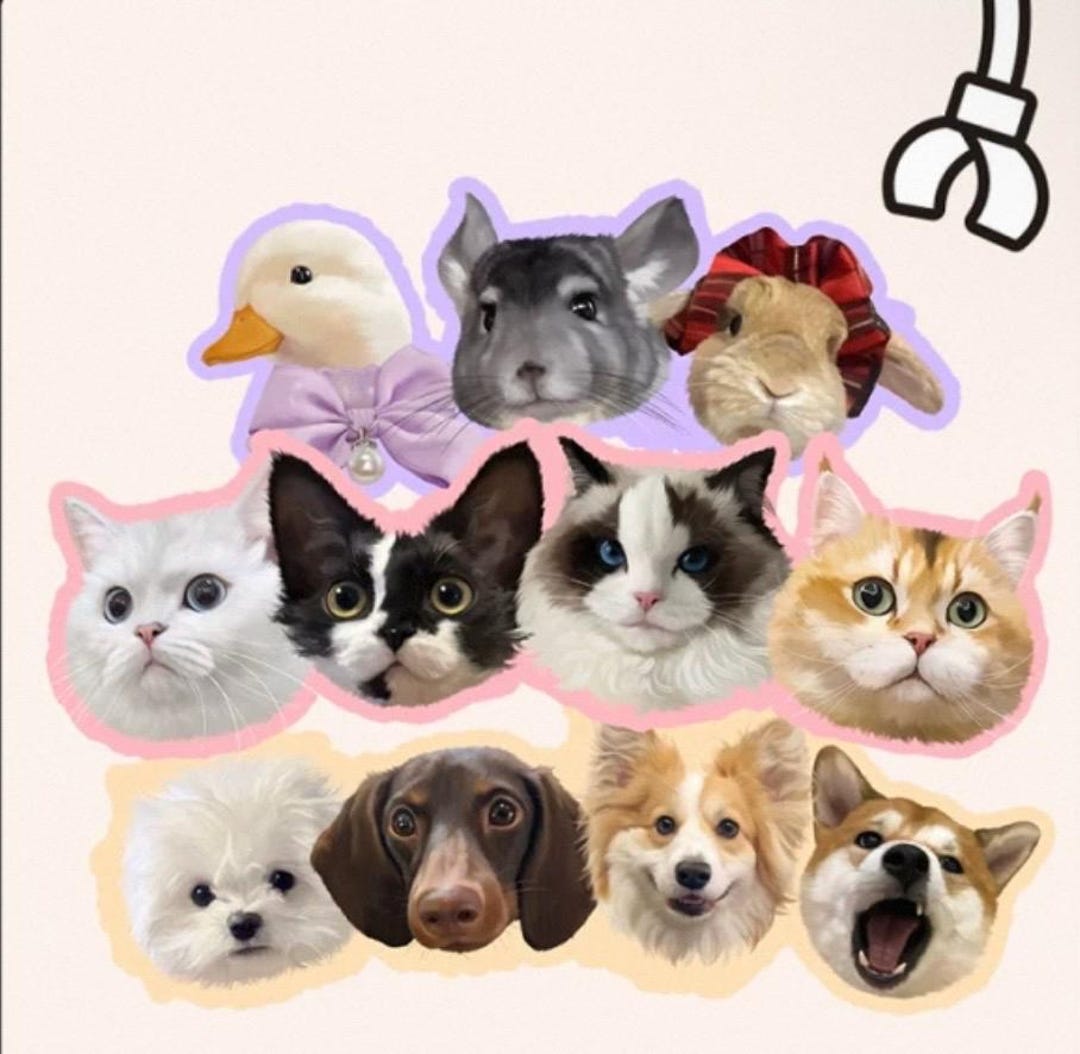 1pet(full-body)custom Pet Portrait Hand-drawn Digital Art • Cat or Dog ...