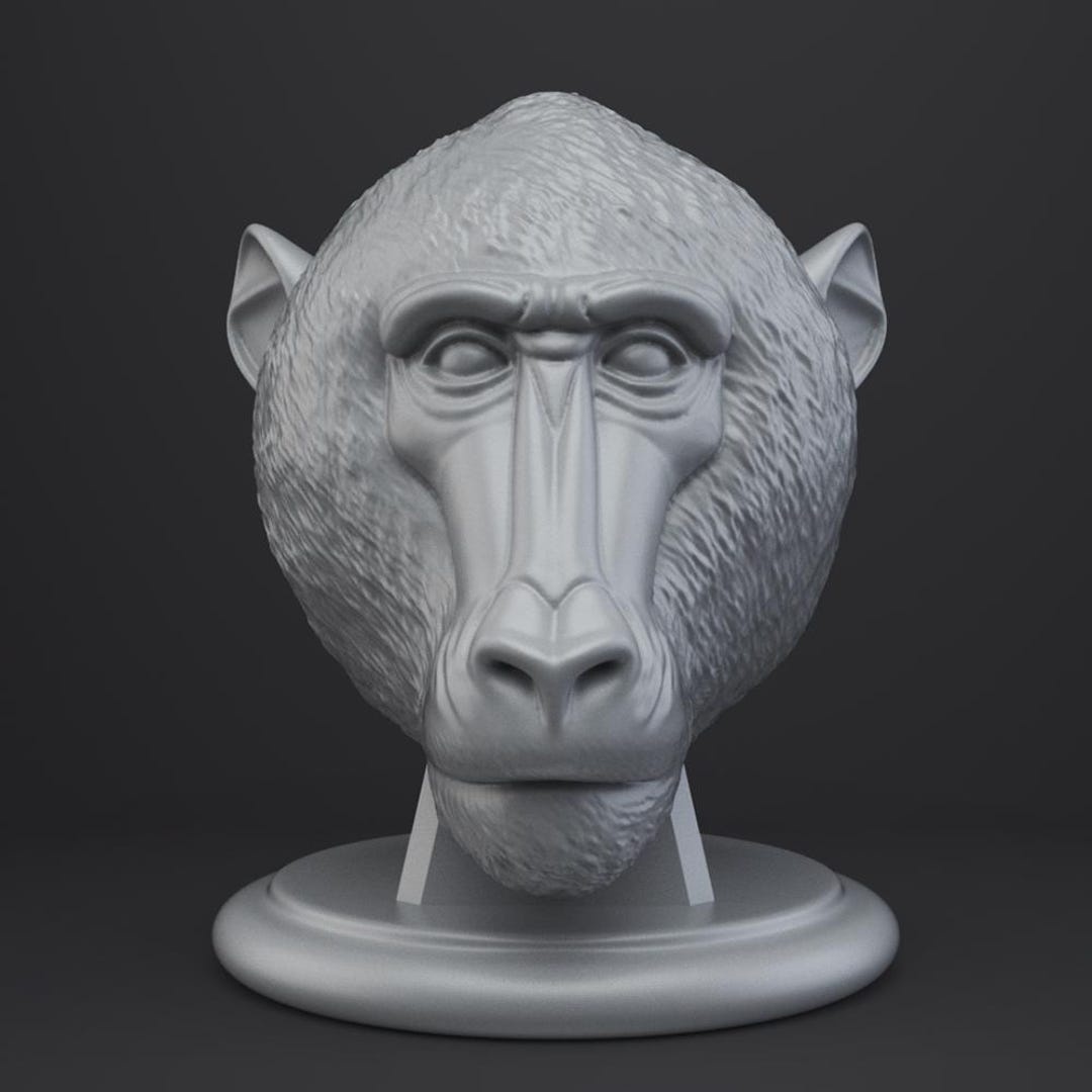 Baboon Bust | 3D Print Digital Download | Printable Design | (STL, 3MF ...