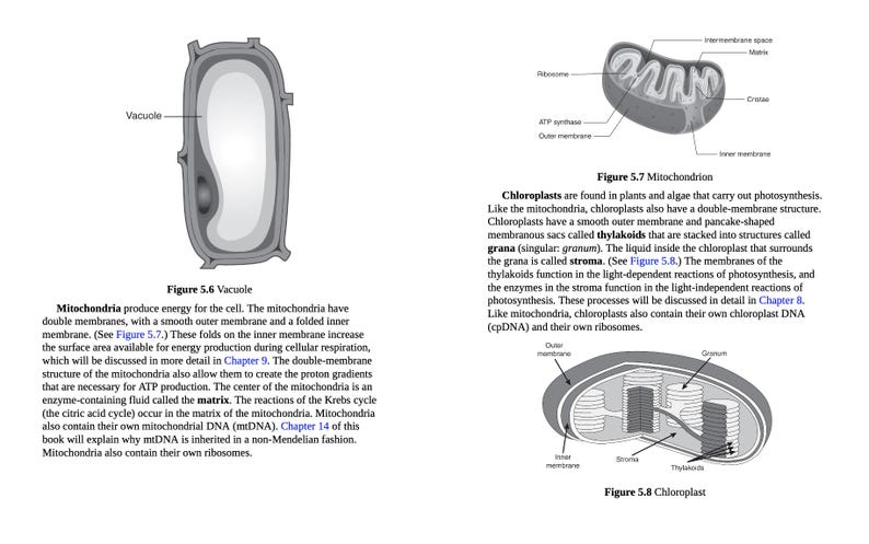 AP Biology Premium 2026 | Study Guide, 6 Practice Tests, Homeschool ...