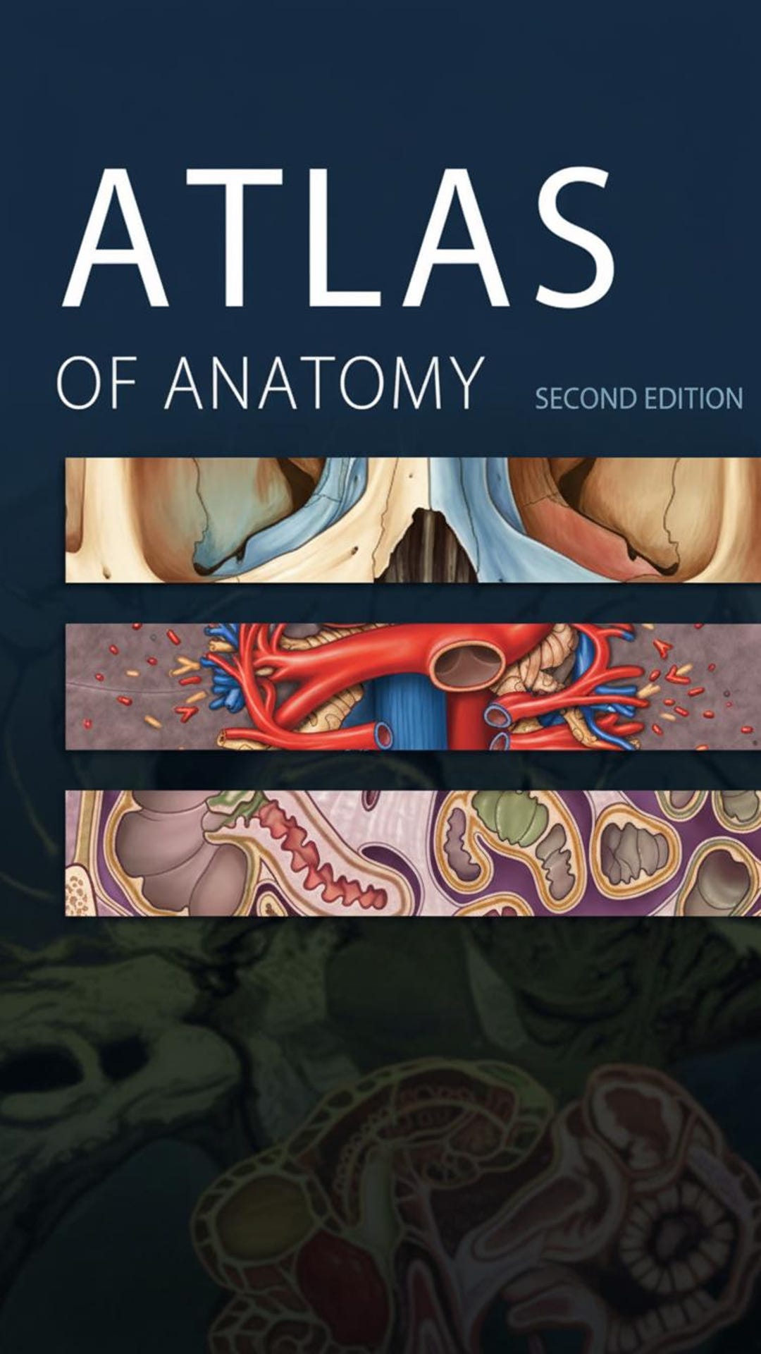 Atla of Anatomy PDF | General Anatomy Book | Full Color Visual Guide ...