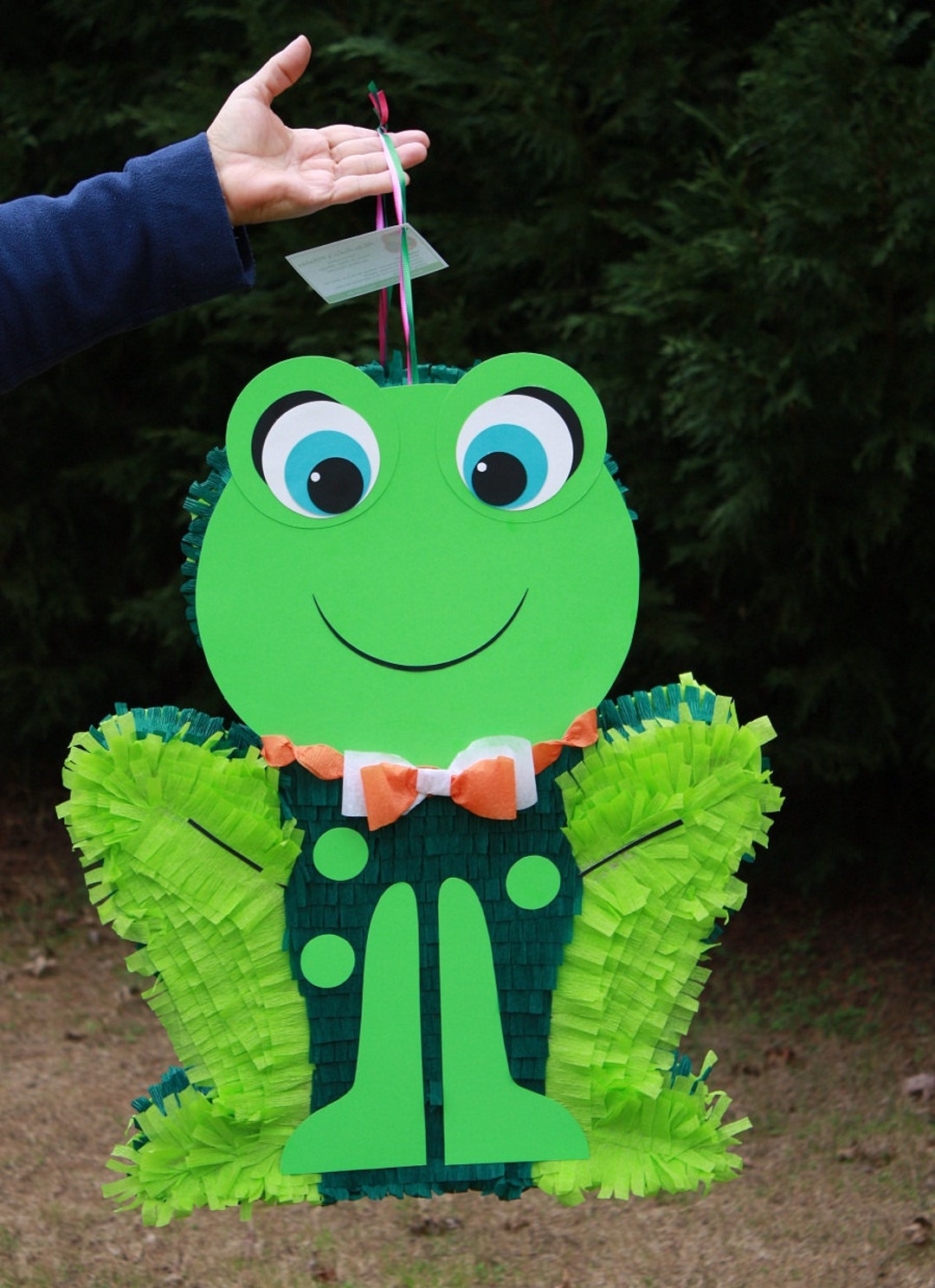 Frog Pinata - Etsy