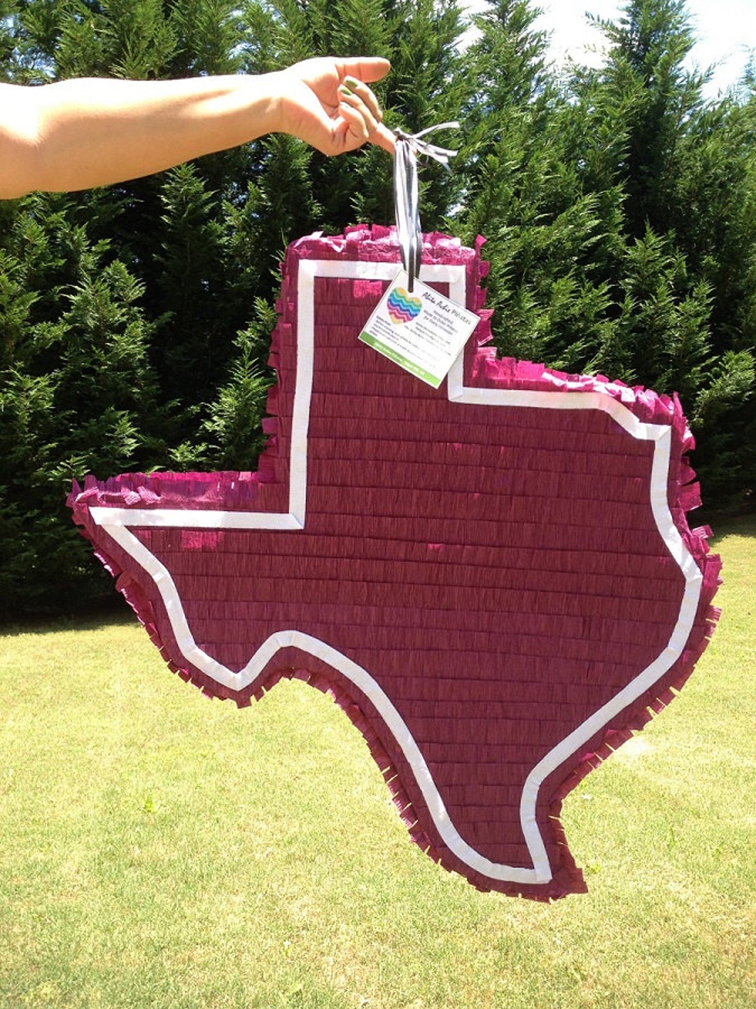 Texas Pinata - Etsy