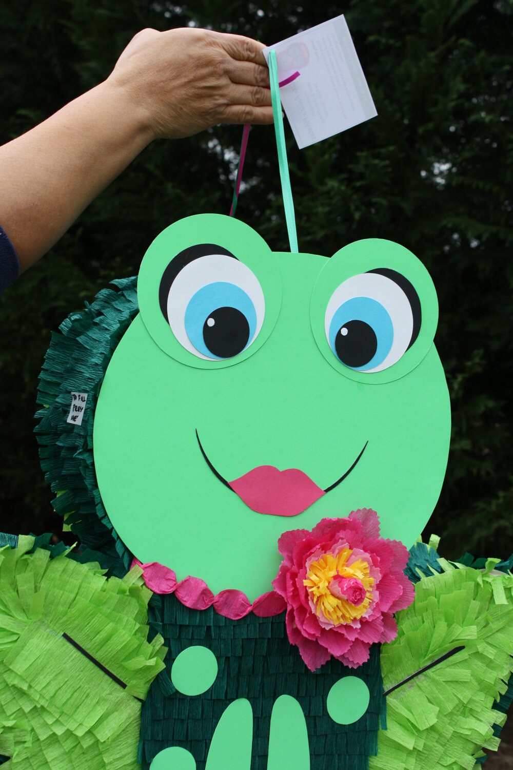 Girl Froggy Pinata - Etsy