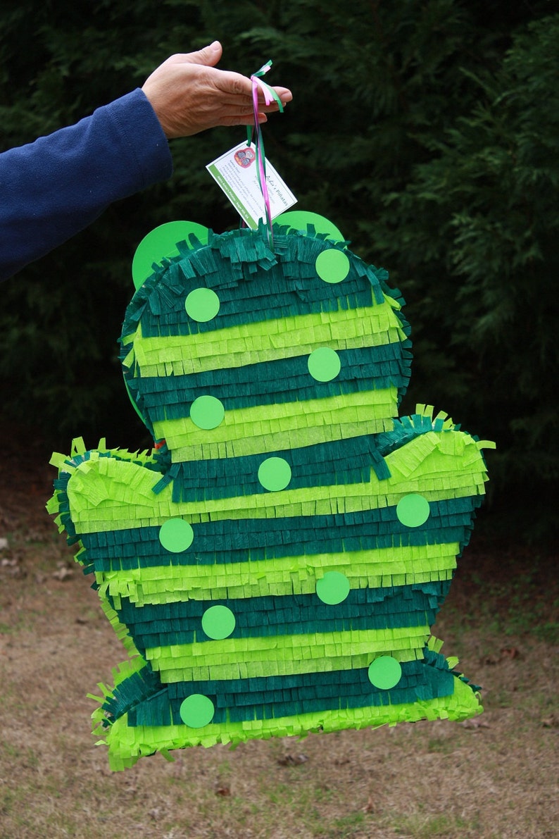 Frog Pinata - Etsy