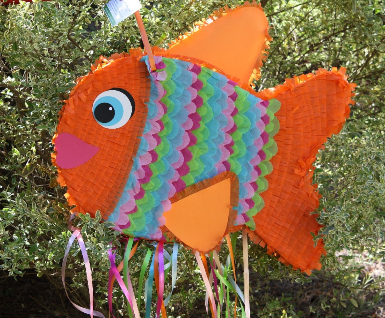 Fish Pinata. Orange Fish Pinata. Rainbow Fish Pinata | Etsy