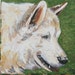 Original Acrylic Painting 6x6 Wolf Art, Timber Wolf Artwork, Mini ...