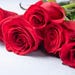 Fresh Cut Red Roses Packed 50 Stems - Etsy