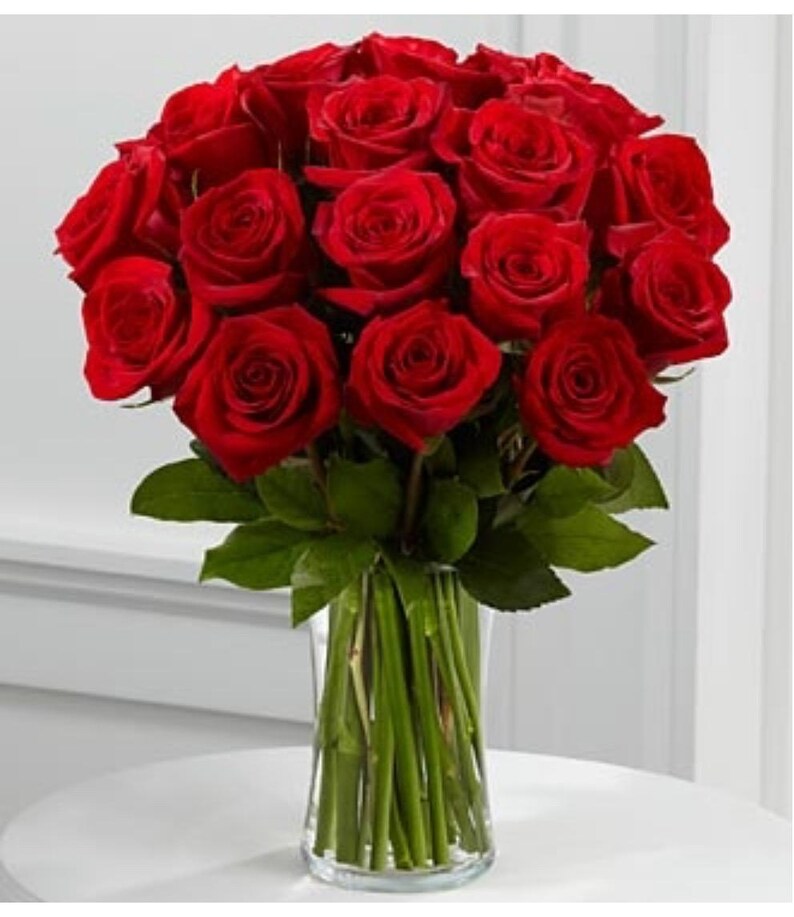Fresh Cut Red Roses Packed 50 Stems - Etsy