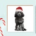 Cockapoo Christmas Card Christmas Gift for Dog Lovers - Etsy UK