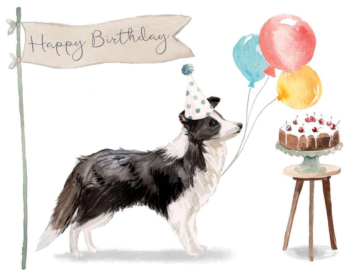 Border Collie Birthday Card Pack of Ten - Etsy