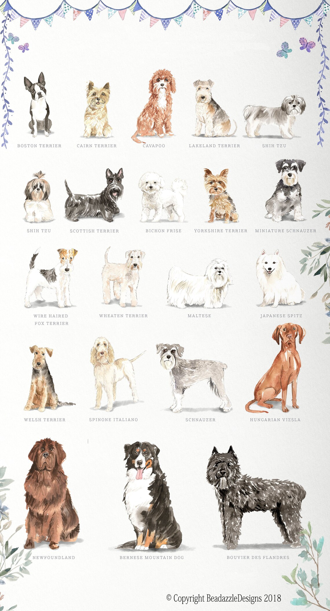 Border Terrier Birthday Card Border Terrier gift for dog | Etsy