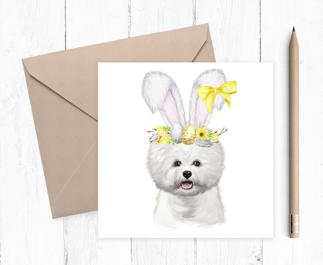 Bichon Frise Easter Card Bichon Frise Card Bichon Frise Easter Gift ...