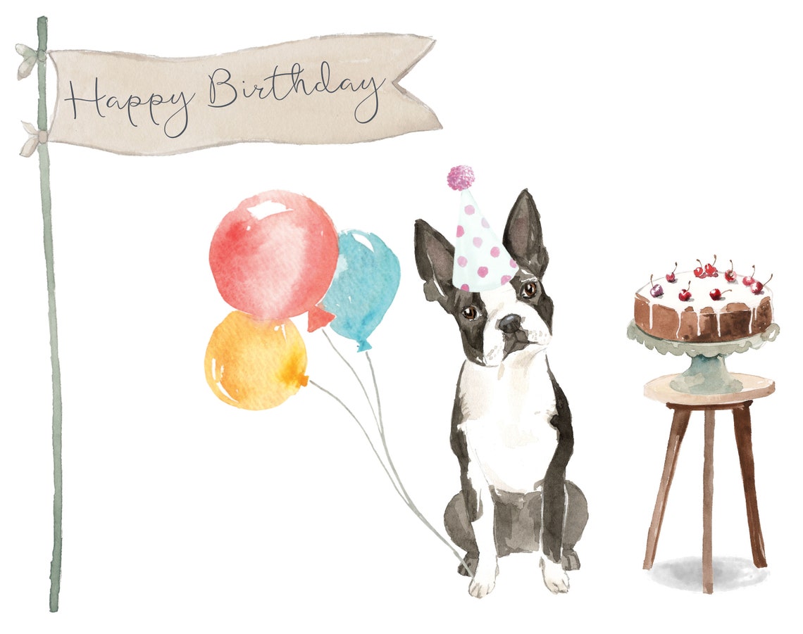 Boston Terrier Birthday Card Pack of Ten Cards | Etsy